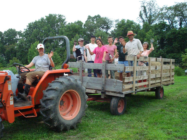 WE NEED WORKESR URGENTLY - JOBS FARMS