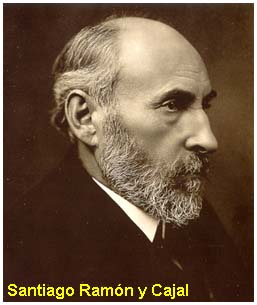 santiago ramón y cajal