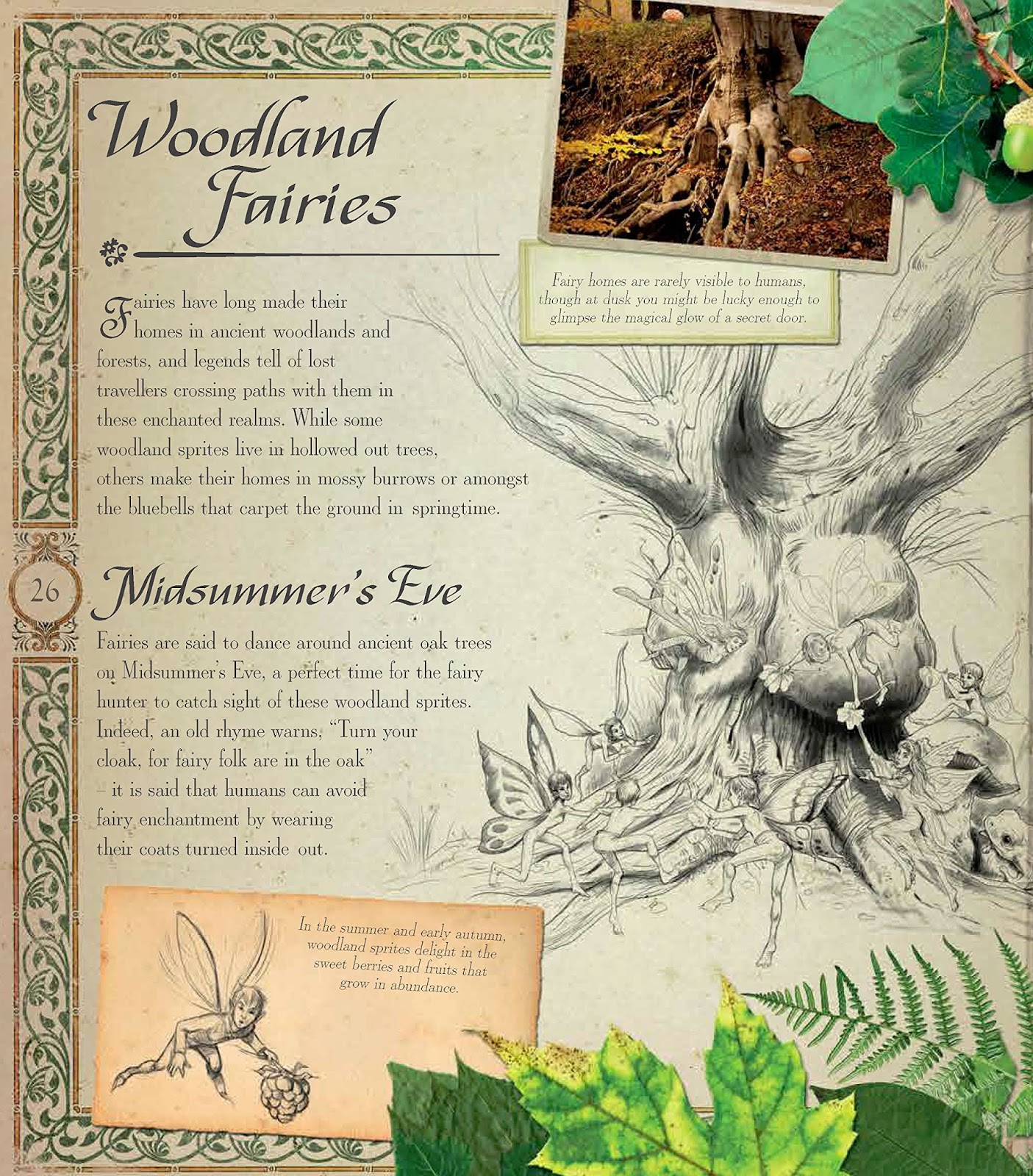 New Age Mama: Fairy World - A Beautifully Illustrated Journey into the ...