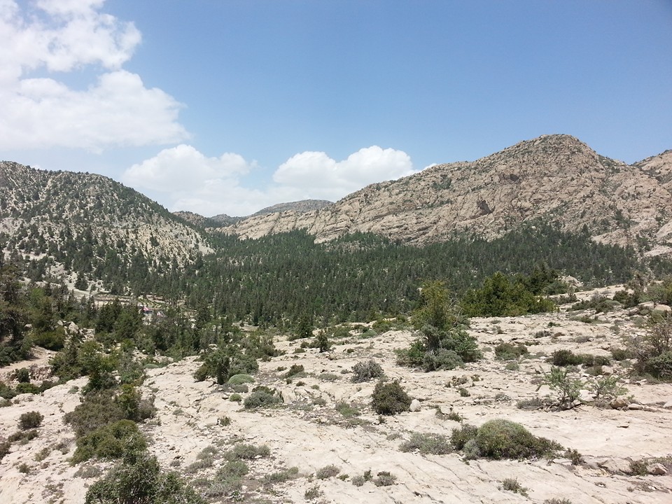 Baluchistan the Incredible Province: ZiZri Valley (Ziarat)
