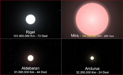 Astróloga Júnia Caetano: BICHOS DO CÉU