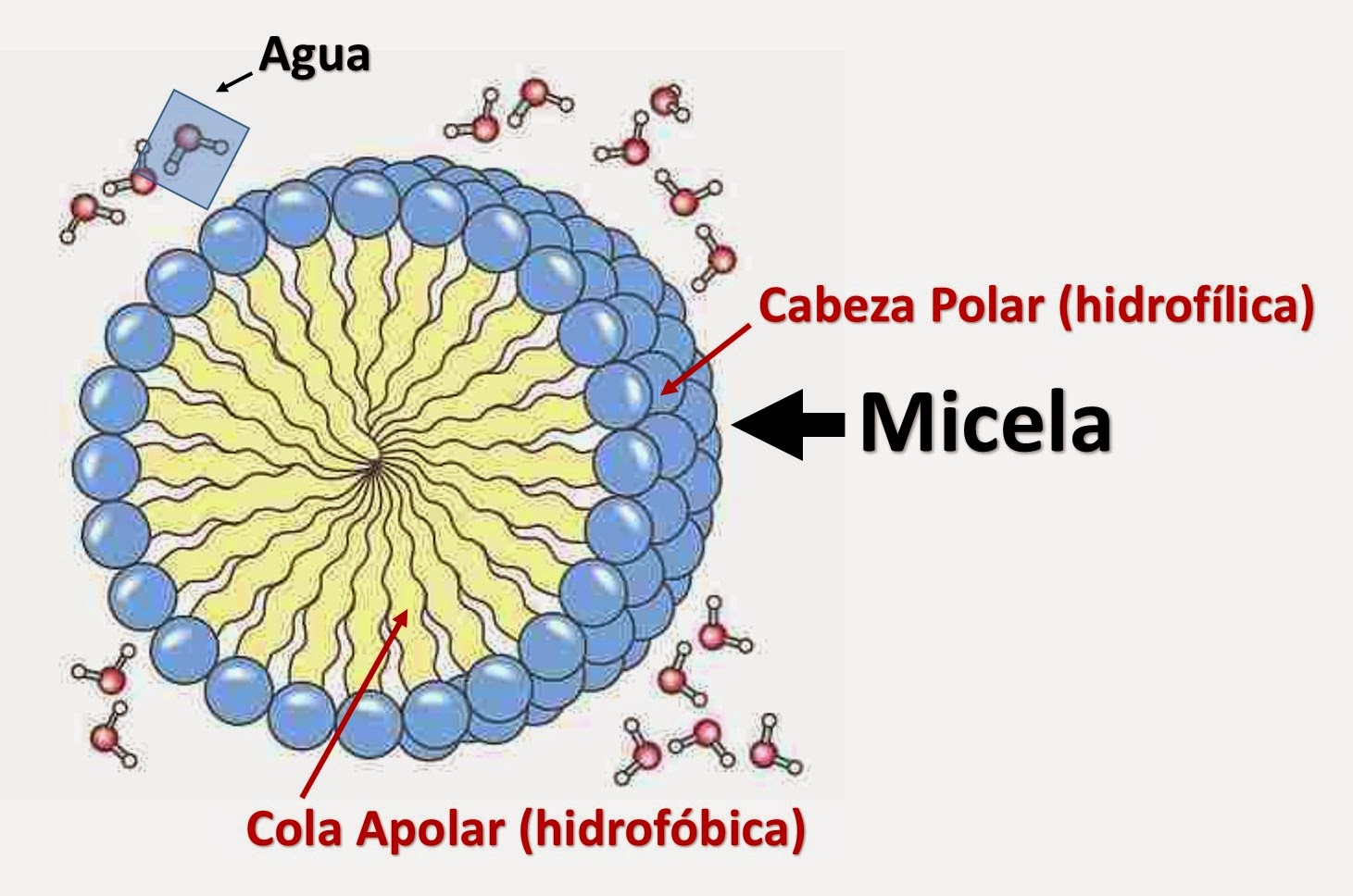 Imágenes de contenidos docentes