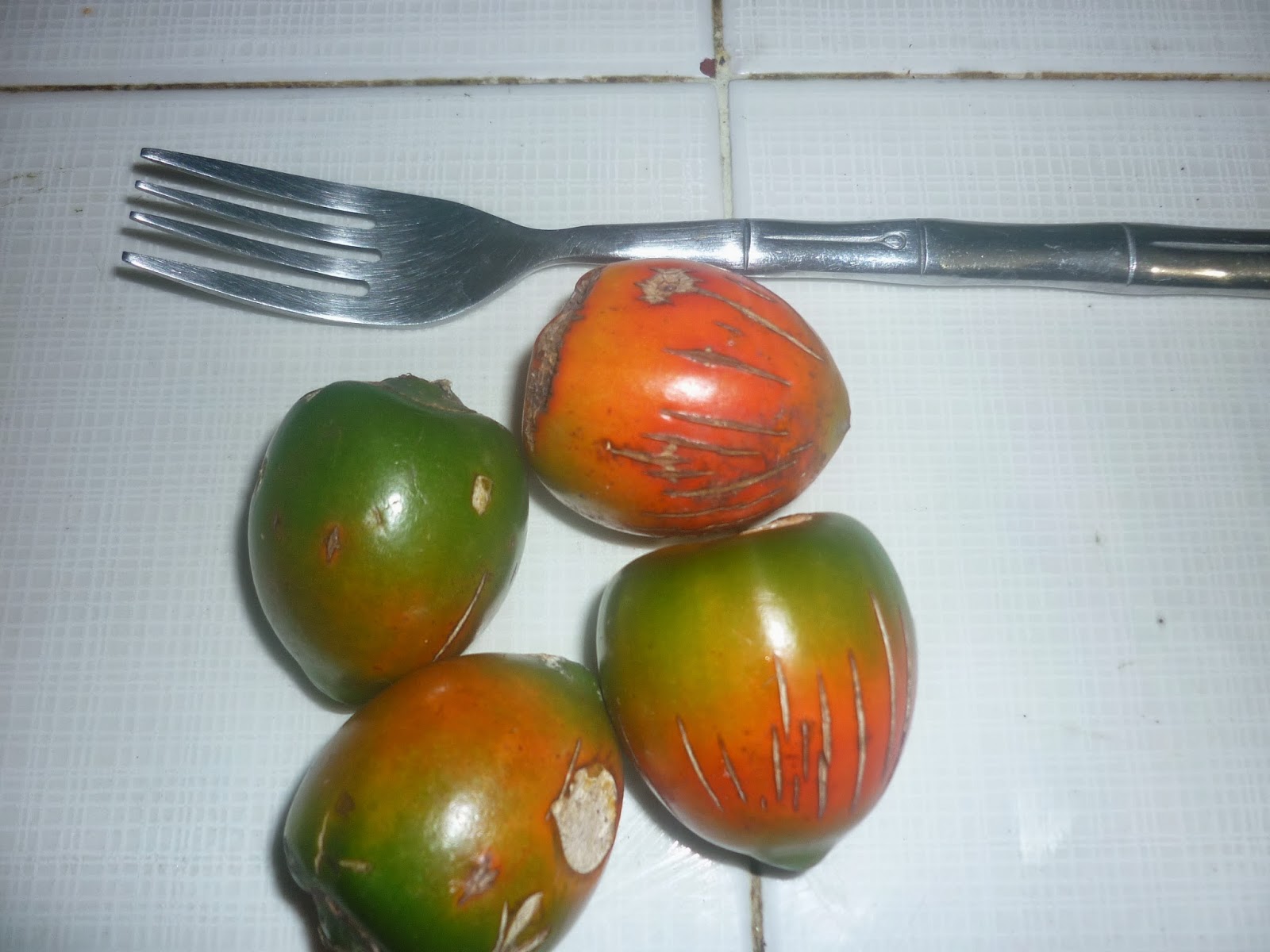 commuNICA: Fruit of the day: Pejibaye???