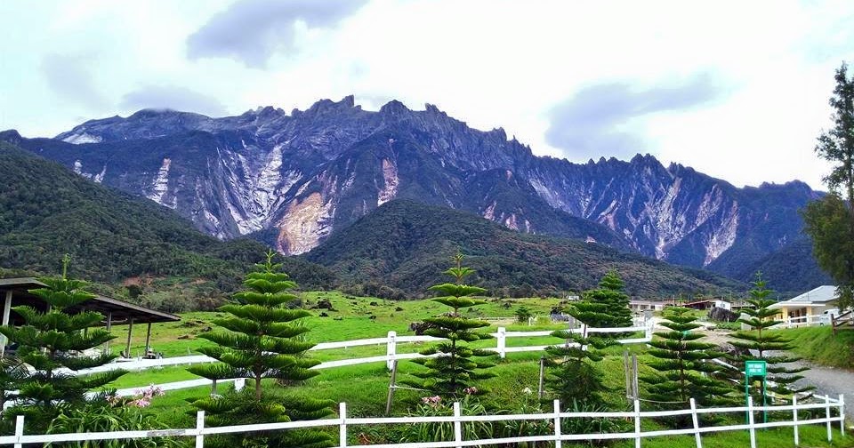 Ladang Lembu Tenusu Desa Dairy Farm Mesilou Kundasang