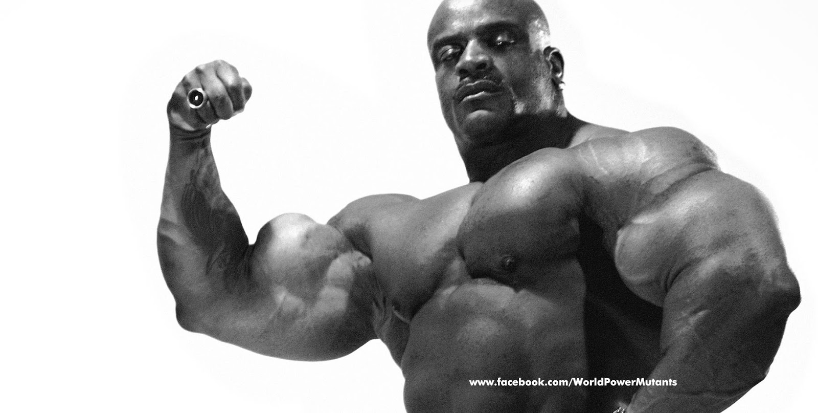 Muscle Lover: American IFBB Pro bodybuilder Will Harris (2)