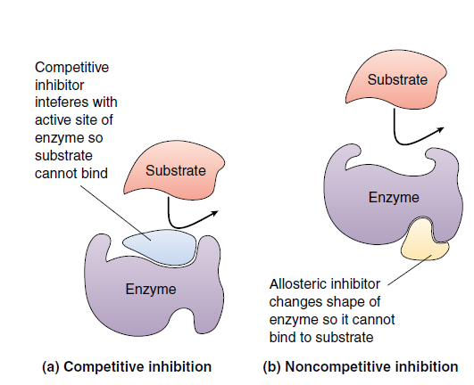 Advanced Mathematical Research Author Md Tauseef Ibrahim/Abraham Malik ...