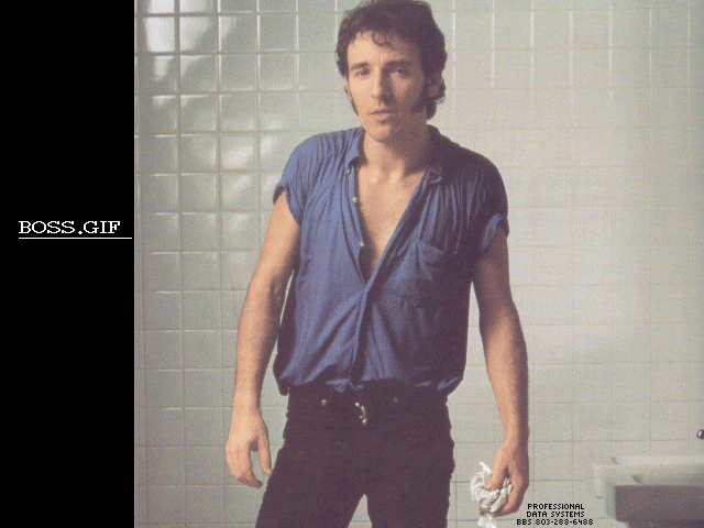 Bruce Springsteen, The Boss