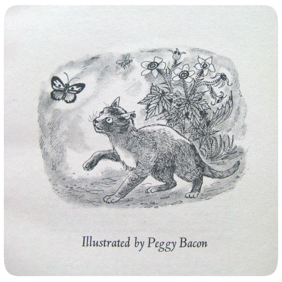 Happy as a Lark: Rama the Gypsy Cat