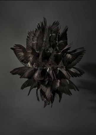 ART-OPOLOGY: Taxidermy Chic: Polly Morgan