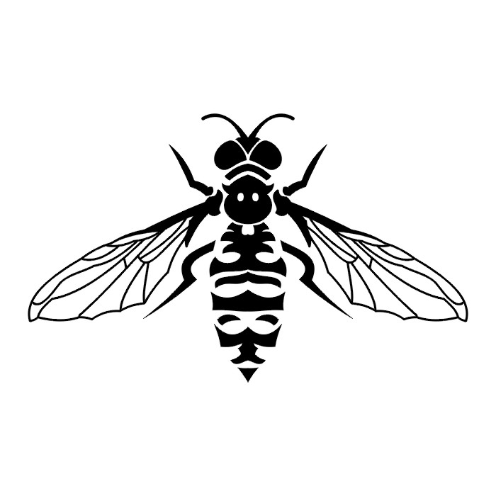 TATTOOS: Bug And Spider Tattoo Stencils