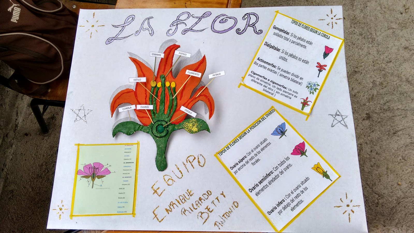 actividades del BOOPL: MAQUETA DE PARTES DE UNA FLOR