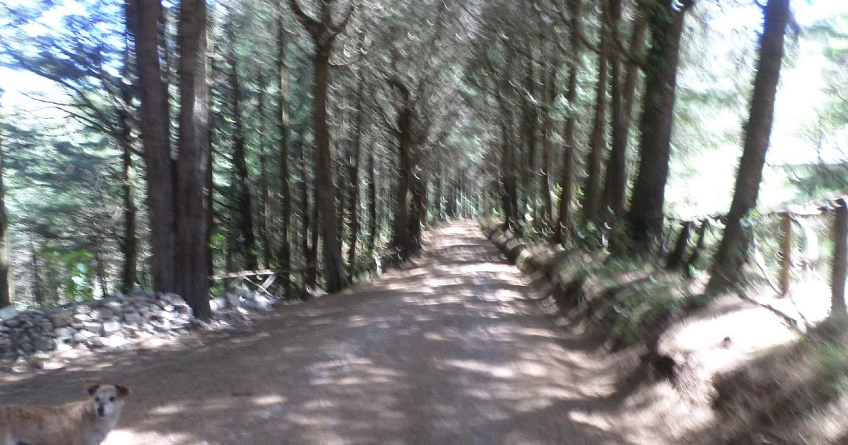 El Aprisco (Descubriendo Toto 2)