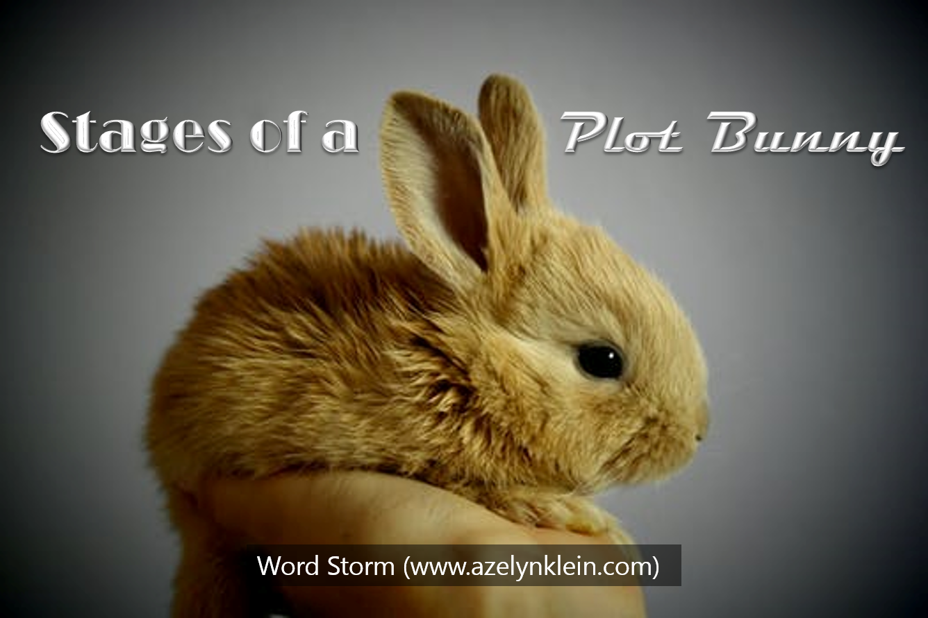 Word Storm: Stages of a Plot Bunny
