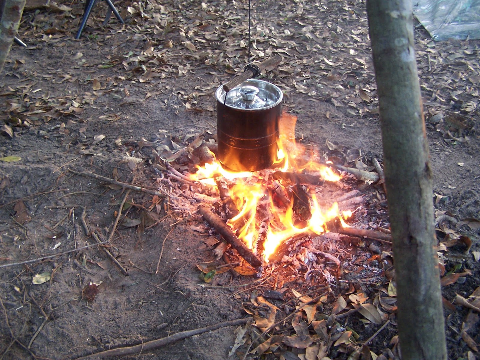 David Kralik Outdoors: The D.I.Y. Six Dollar Bush Pot