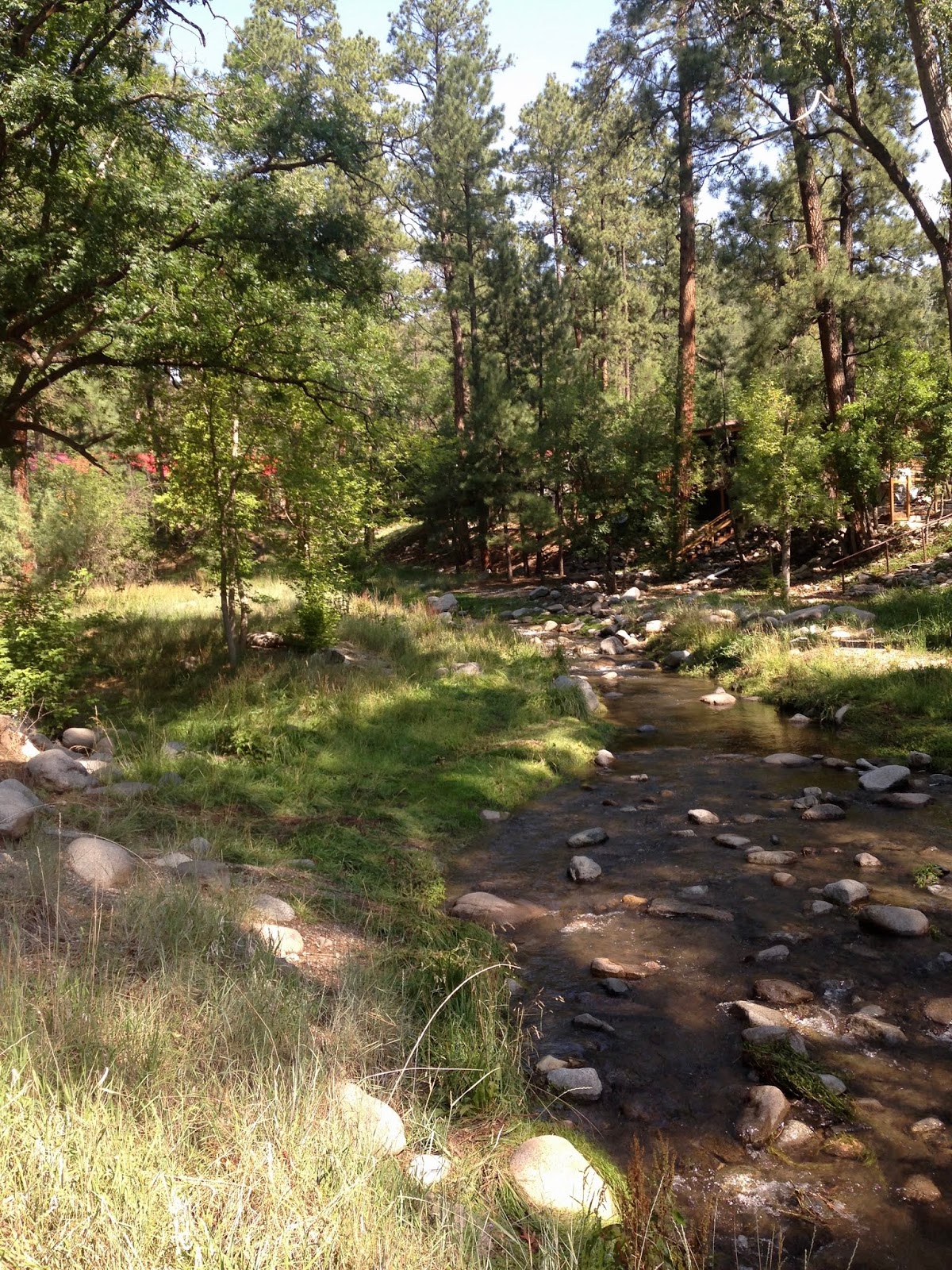 Southern New Mexico Explorer: Rio Ruidoso- Upper Canyon