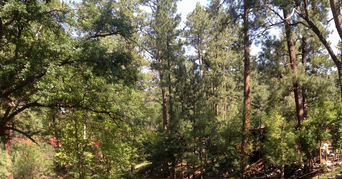 Southern New Mexico Explorer: Rio Ruidoso- Upper Canyon