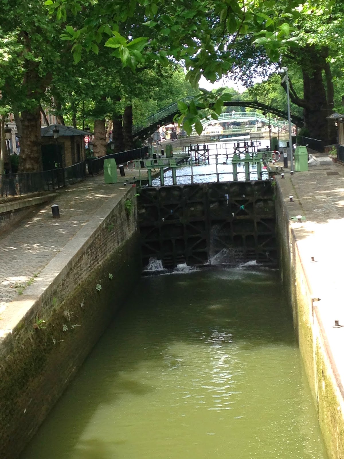 Mona, Macarons and Snails