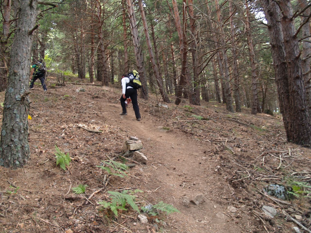 El Blog de Treparriscos: Escalada en el Risco de la Majadilla Verde.
