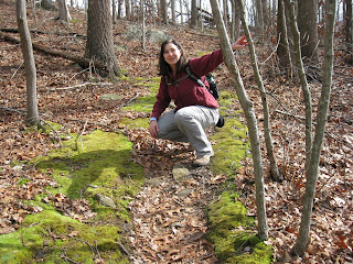 I Heart Hiking: Kanawha State Forest, Overlook Rock Trail