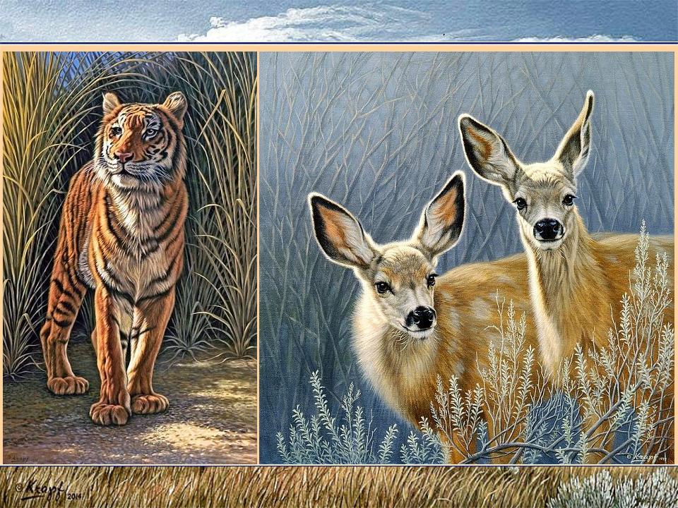 Soloillustratori: Paul Krapf