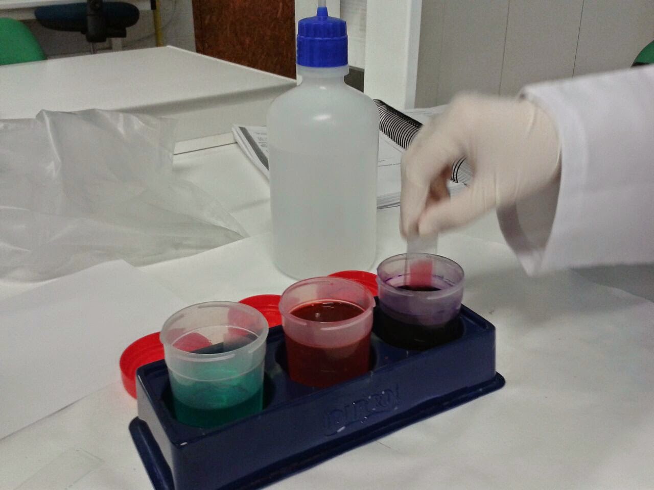 Hematología 2014-2015