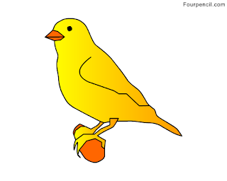 FourPencil: How to draw a Canary for kids - step by step