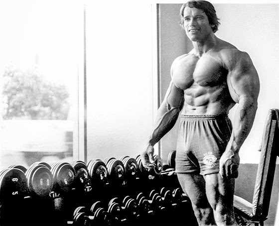 worldwidemodel bodybuilders: DANIEL LEFT SPORTS AND BEGAN BODYBUILDING