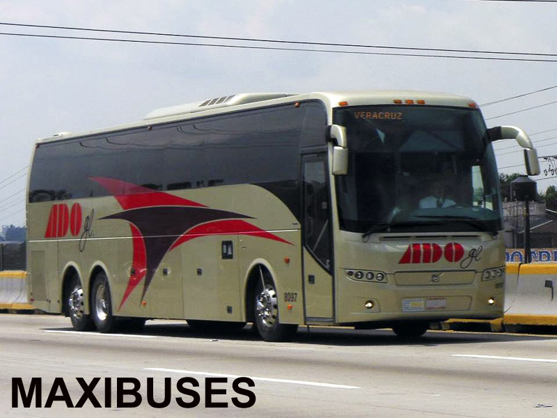 MAXIBUSES: ADO GL