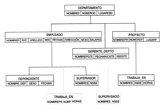 Base de Datos: Modelo de datos jerárquico