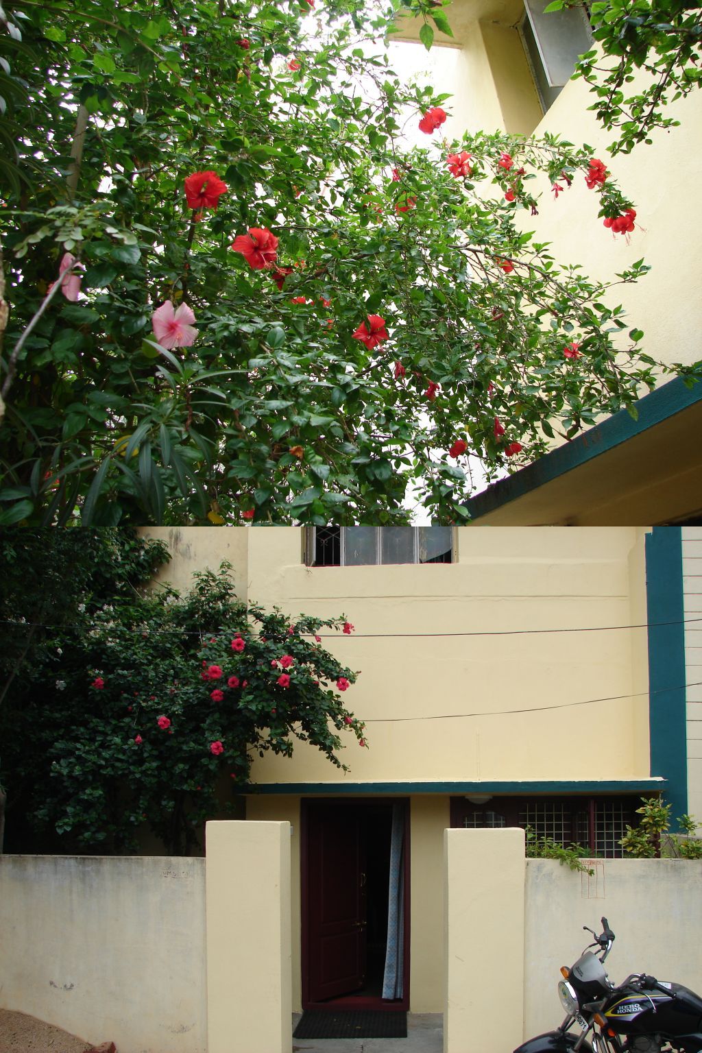 Raghu's column!: Oh! Goddess Lalitha! Thou art fond of Mandara flowers ...