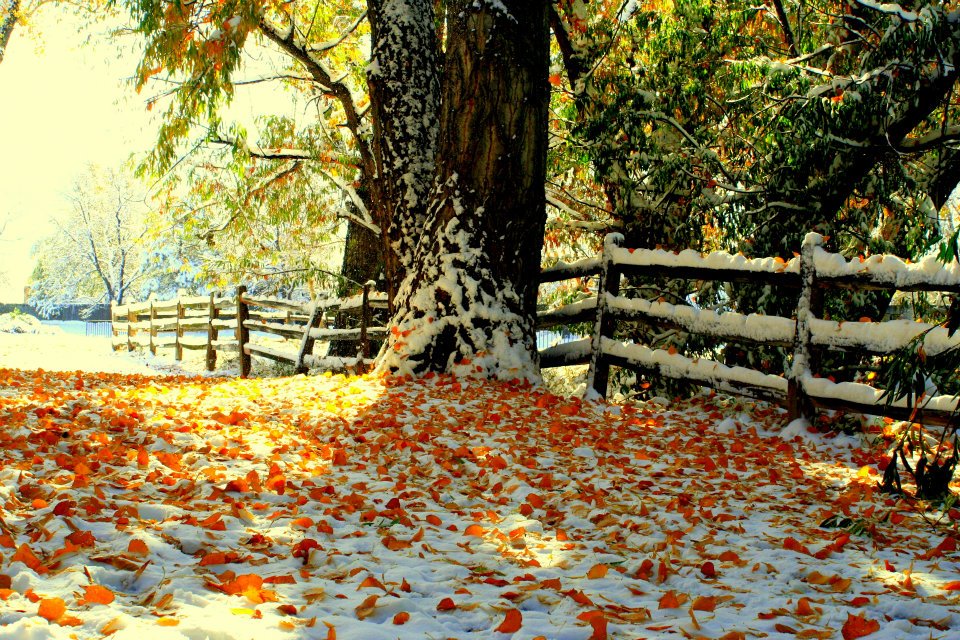 Beautiful Somehow: Enjoying the Morning