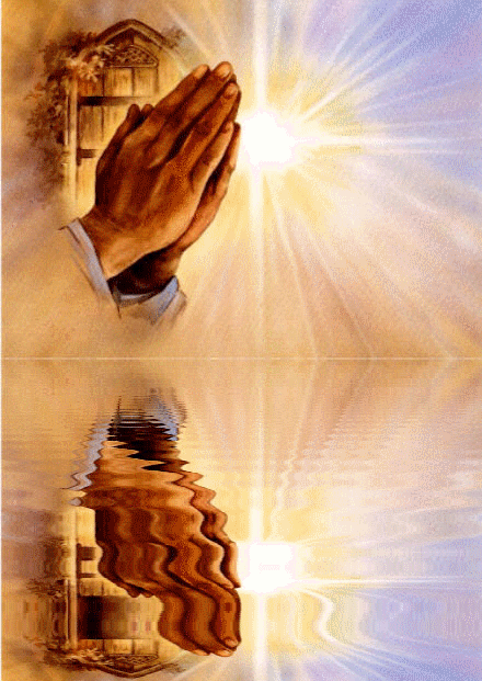 Destellos de DIOS: La Vida es un Milagro