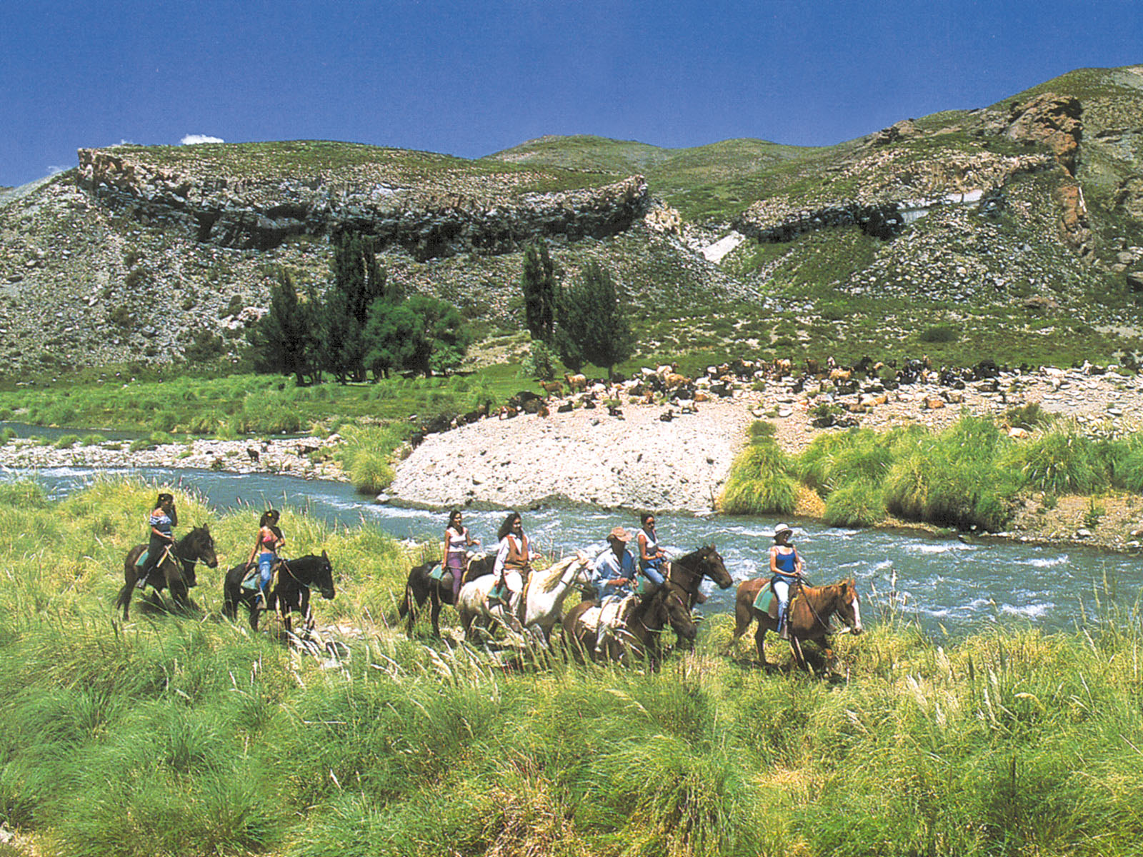 Turismo Rural en Mendoza - TAFI TRAVEL Agencia de Viajes y Turismo Tucumán