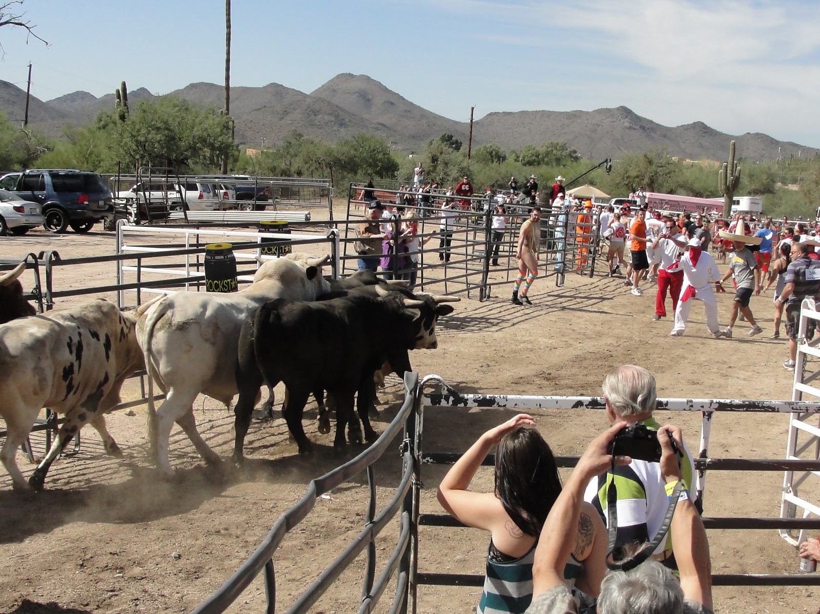 BJ Travels: Running of the Bulls, Cave Creek, AZ