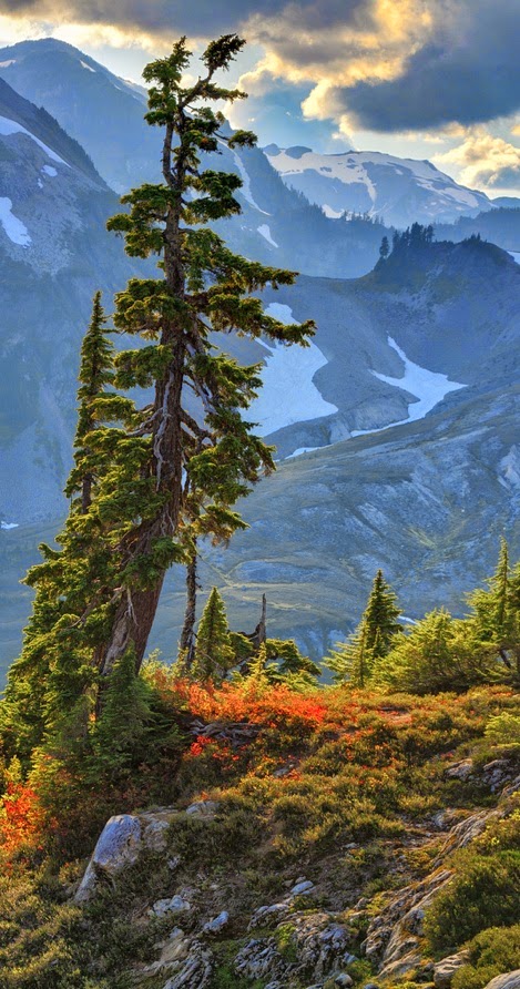 Artist Point near the Mt. Baker ski area in the north Cascades of ...
