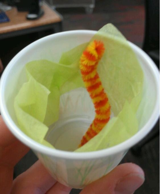 Storytime with Miss Tara and Friends: Pre-K May 3, 2012 Worms!