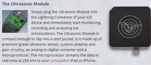 Bats for the Home | Echo Meter Touch Handheld Bat Detector
