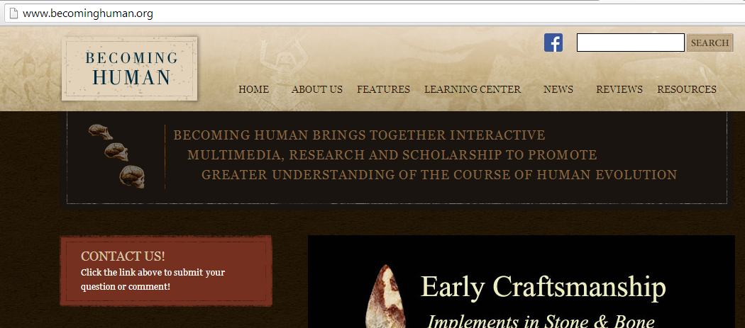 Belajar Evolusi dengan "Becoming Human Software" | Pustaka Pandani