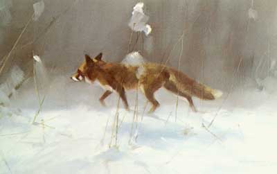 National Wildlife Galleries: The Art of Manfred Schatz