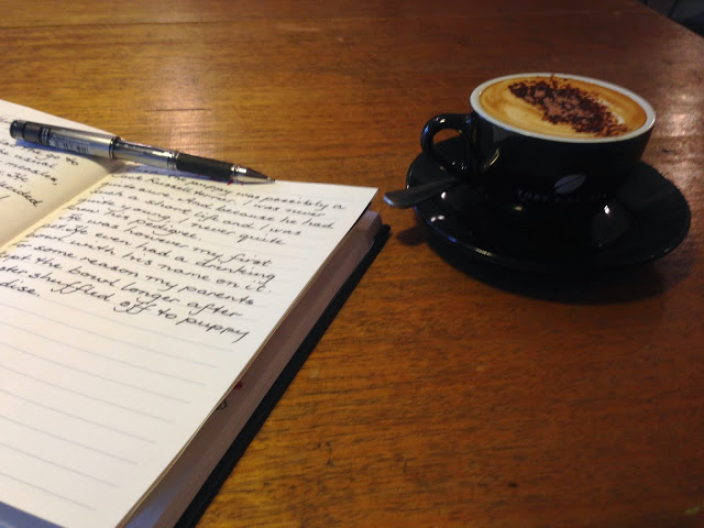 Further Jottings From A Writing Life