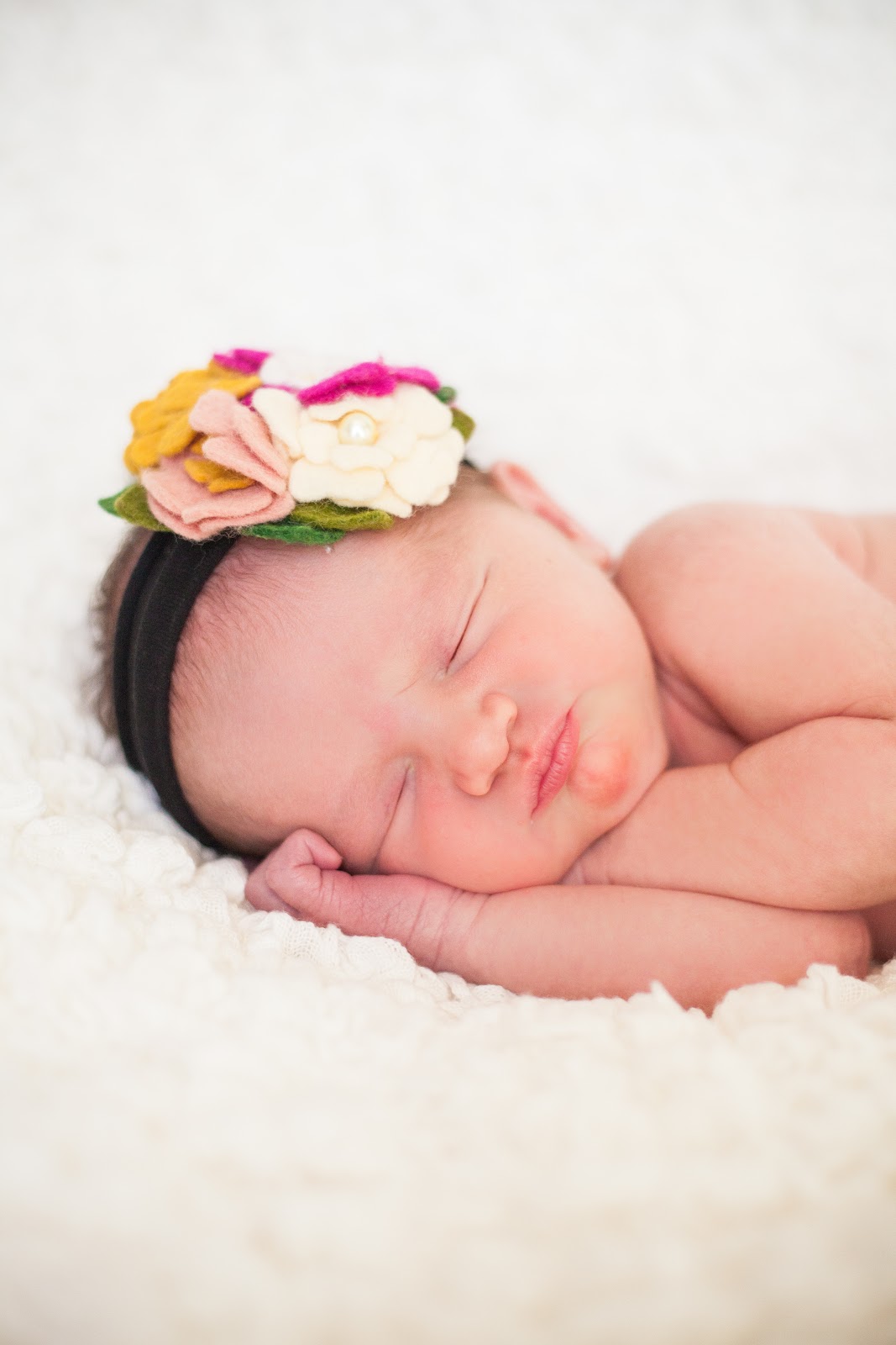 Sarah Libby Photography