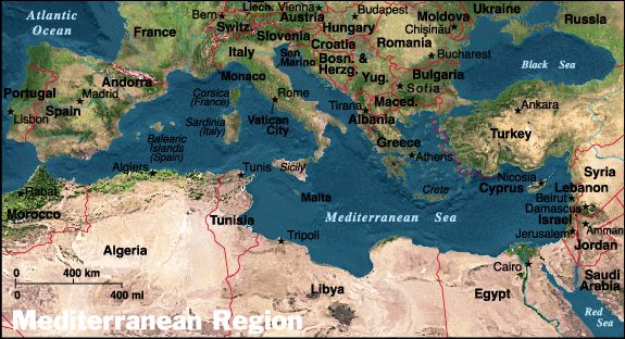 Art By ASM, It's In There....: Mediterranean Penne Pastitsio or Pasticcio