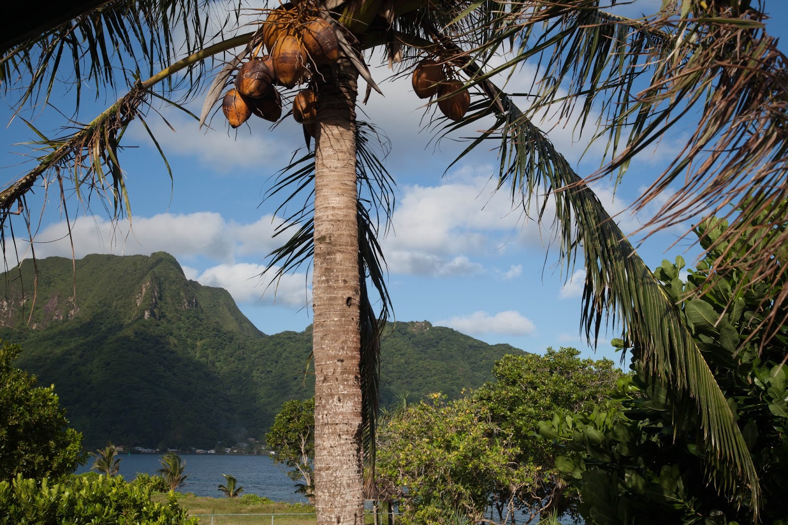 Binkelian Trek Trax: NP#59 - American Samoa