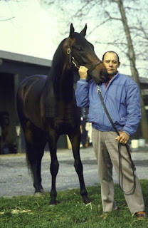 Sham (horse) - Alchetron, The Free Social Encyclopedia