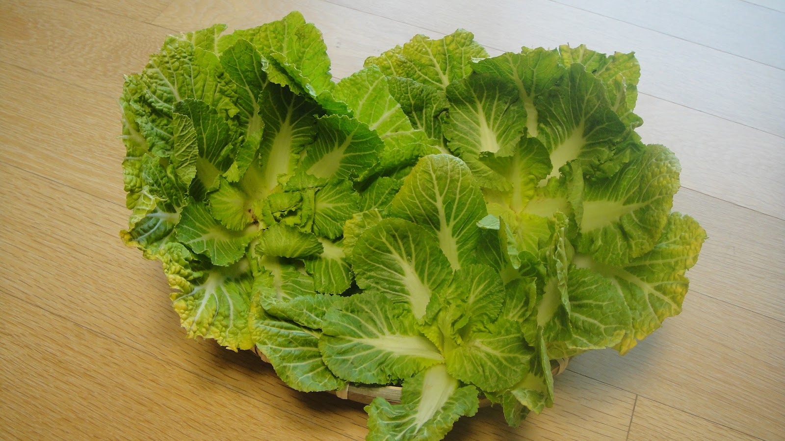 Kimchi House: Seasoned " Bomㅡ Dong"/ 凉拌春白菜/ 봄동무침