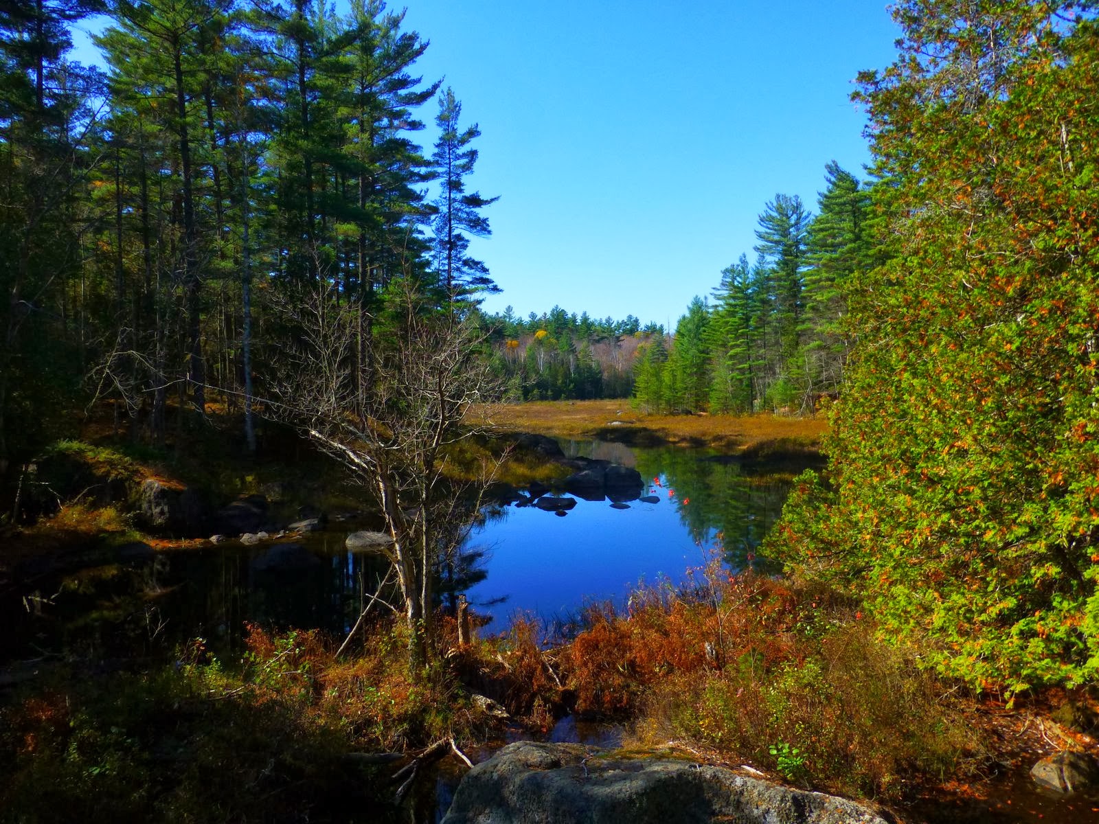 Off on Adventure: Marsh Pond Mountain - Dix Mountain Wilderness Area ...