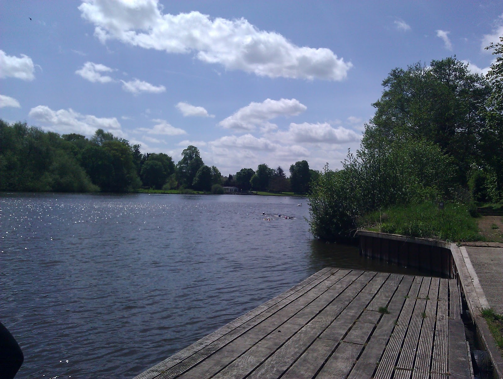 OSS Swim the Thames: Swim 46: Monkey Island to Boveney Lock