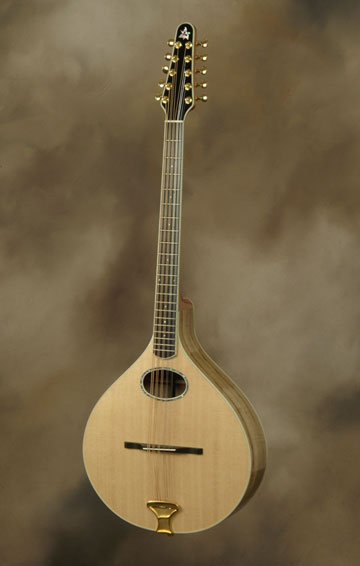 INSTRUMUNDO Instrumentos Musicales: Cistro, Cittern, Cistre, Cister ...