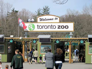 Life Is Better On Vacation: Toronto Zoo