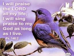 Church Born Again: Book of Psalm Chapter 146